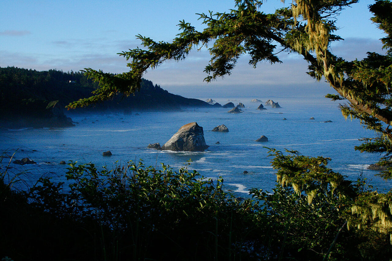 The Amazing Story of our Sue-meg Visitor Center and the Volunteers That ...