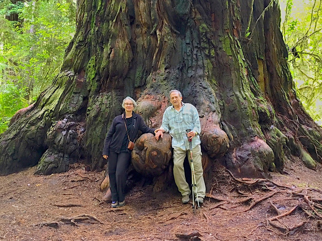Leave a Legacy | Redwood Parks Conservancy