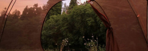 Reservations | Redwood Parks Conservancy