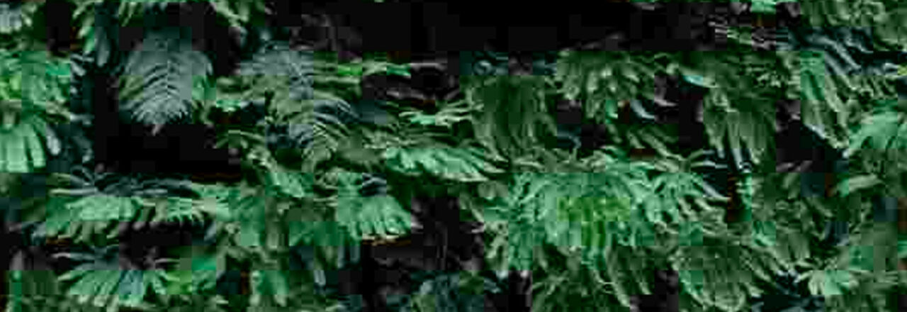 Reservations | Redwood Parks Conservancy