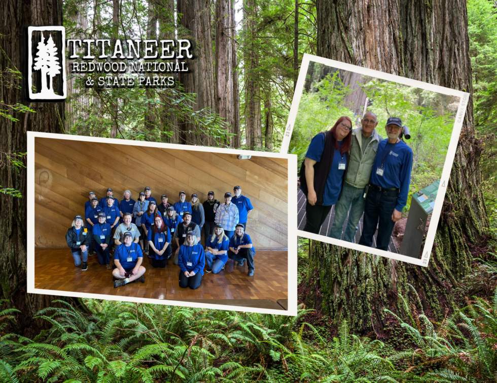 Grove of Titans | Redwood Parks Conservancy