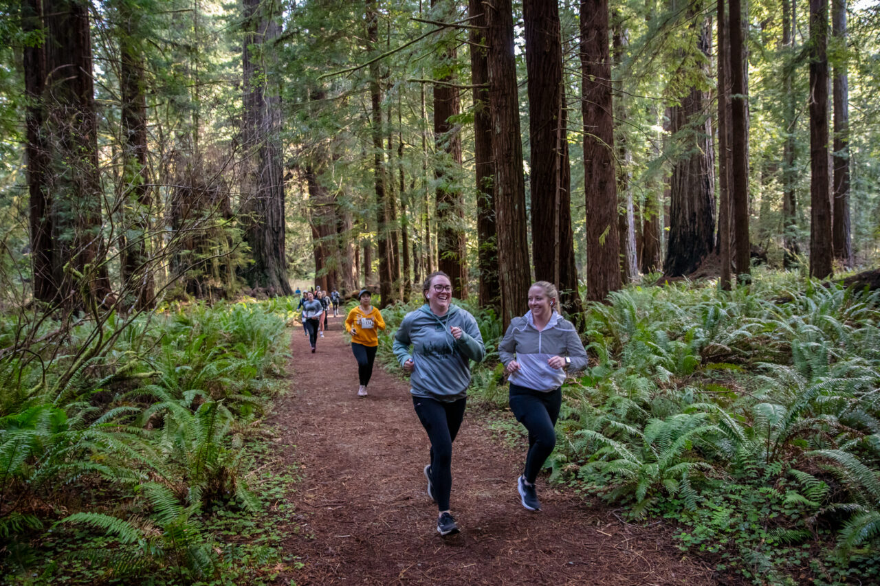 Run in the Redwoods 5k | Redwood Parks Conservancy
