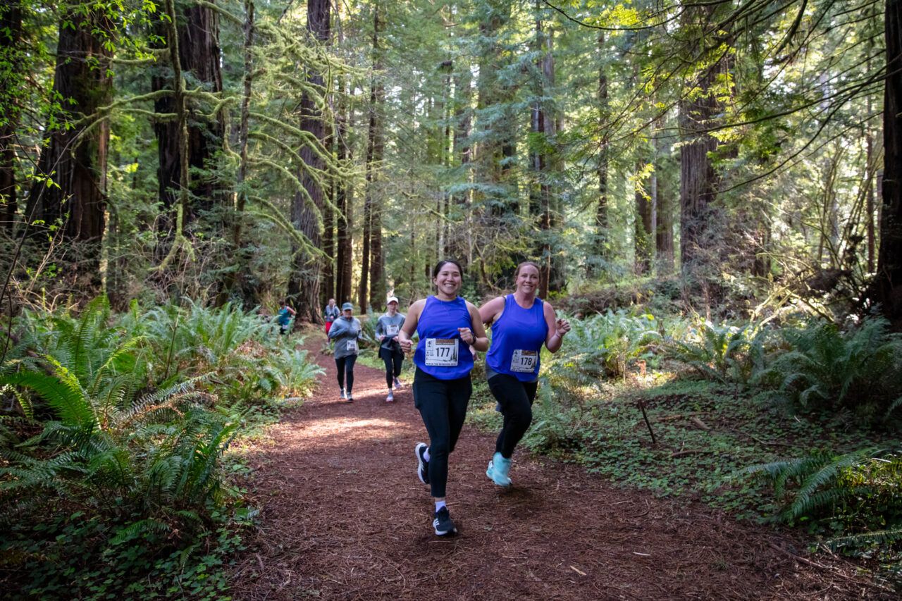 Run in the Redwoods 5k | Redwood Parks Conservancy