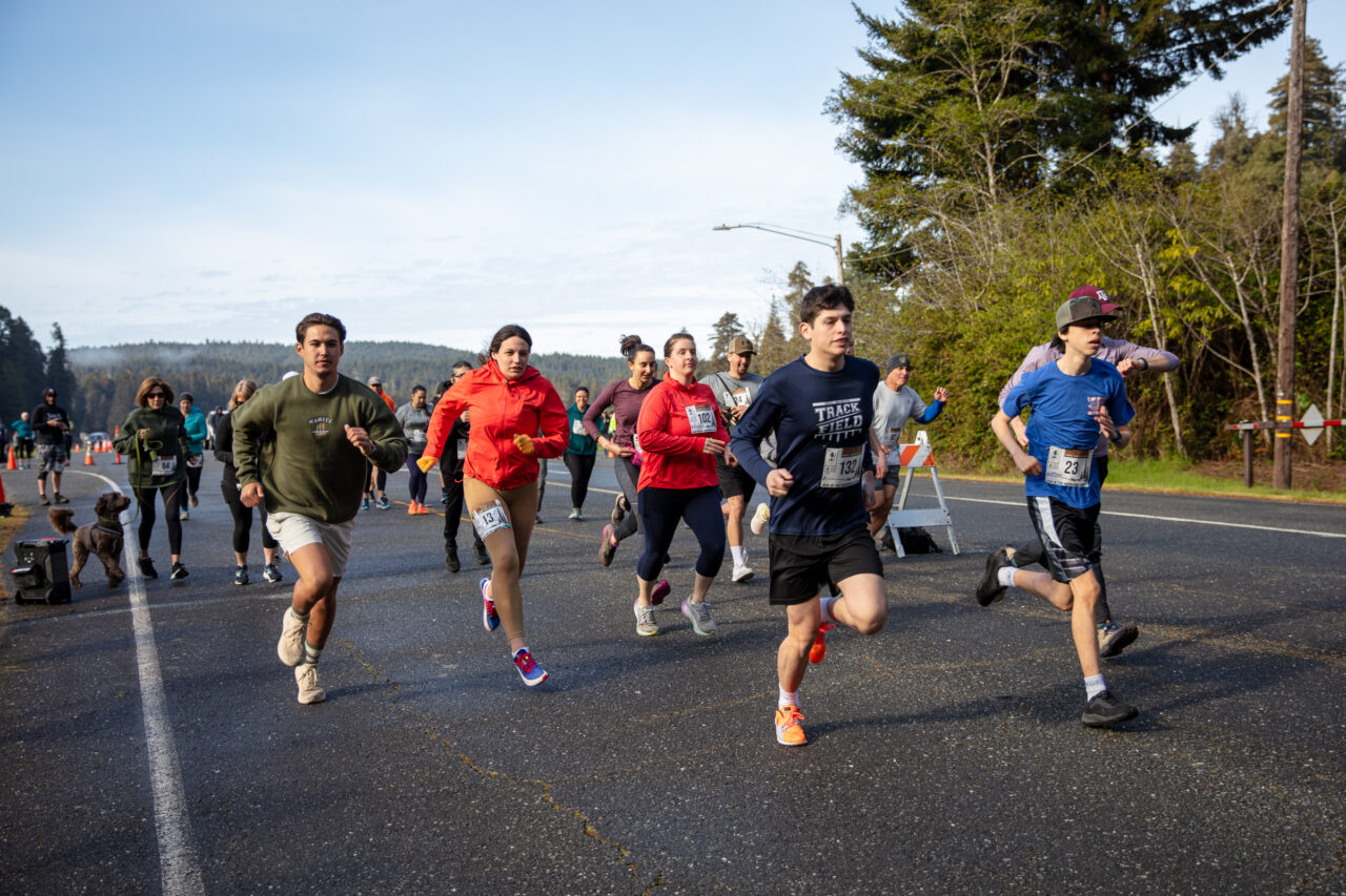 Run in the Redwoods 5k | Redwood Parks Conservancy