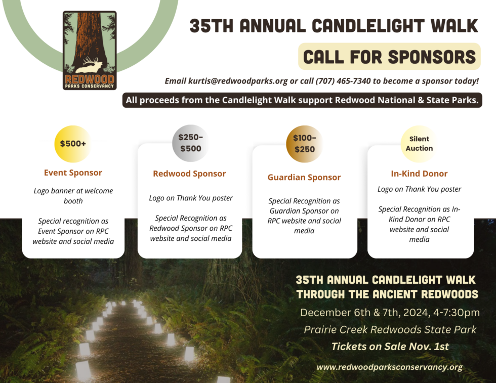Annual Candlelight Walk Through the Ancient Redwoods | Redwood Parks ...