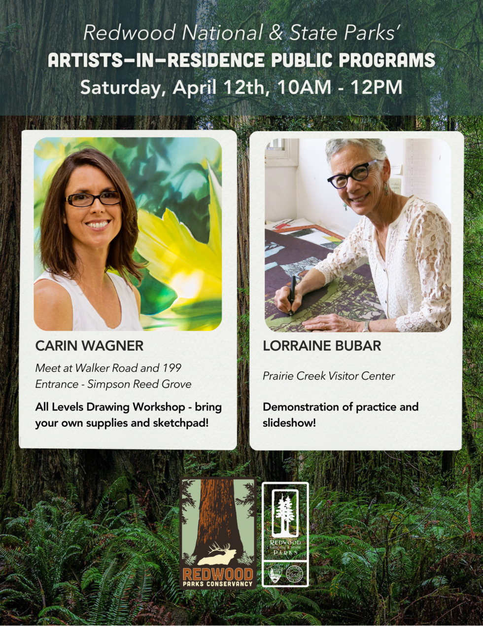 Artist-in-Residence Program | Redwood Parks Conservancy