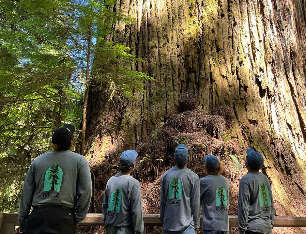 Our Projects | Redwood Parks Conservancy
